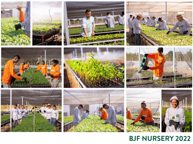 Accelerating seedling production in our large new nursery - Black ...