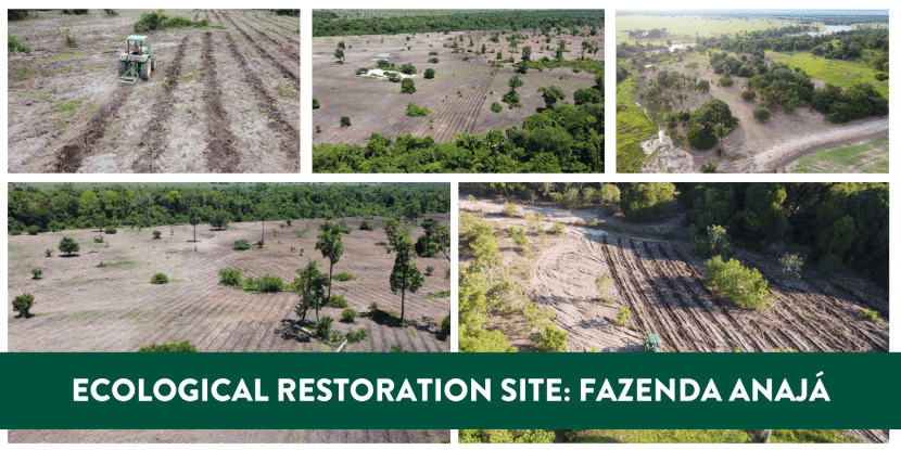 Restoration sites_fazenda Anaja - Black Jaguar Foundation
