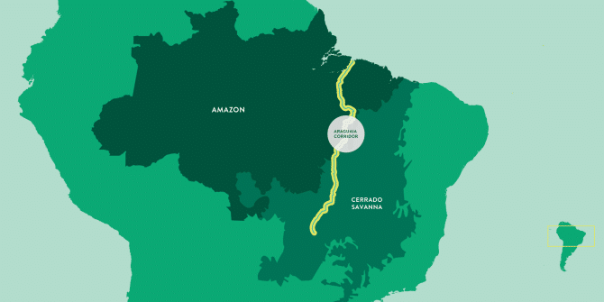 What is quality ecological restoration? - Black Jaguar Foundation