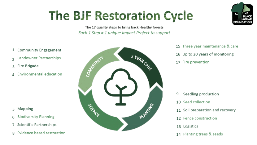 Cycle of restoration_17 steps - Black Jaguar Foundation