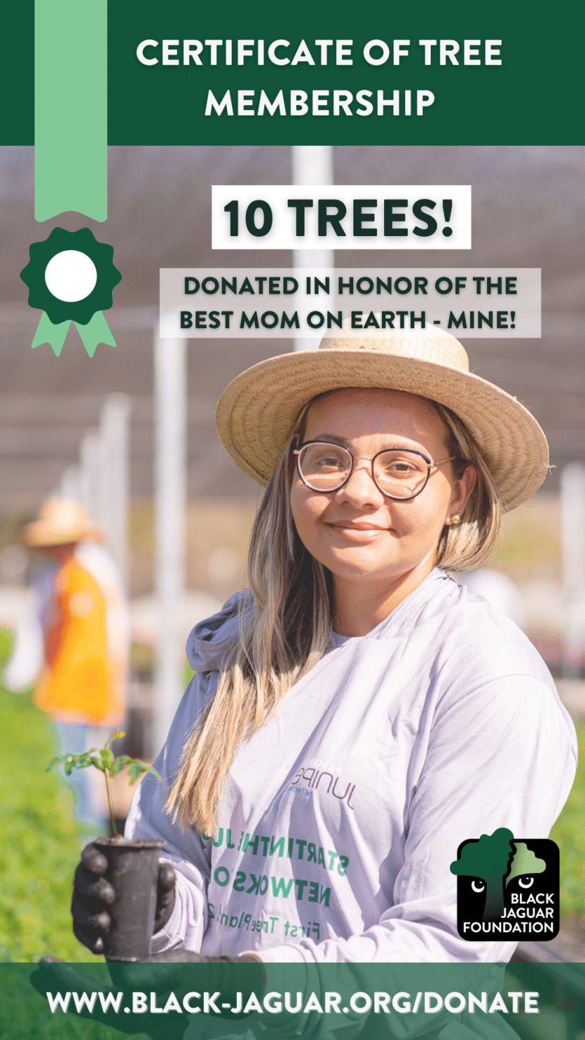 Celebrating Mother's Day with 10 Trees! - Black Jaguar Foundation