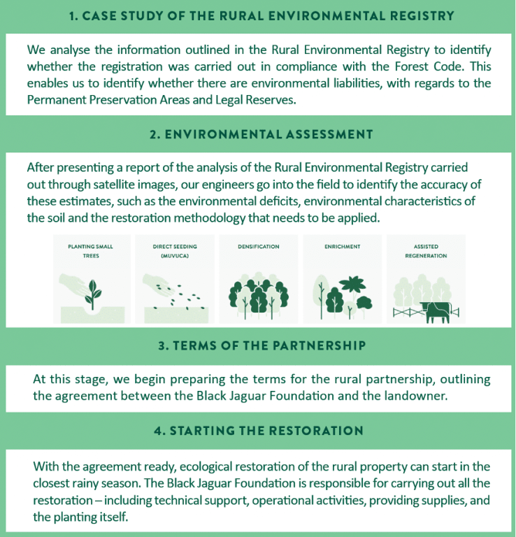 11 years of The New Brazilian Forest Code - Black Jaguar Foundation