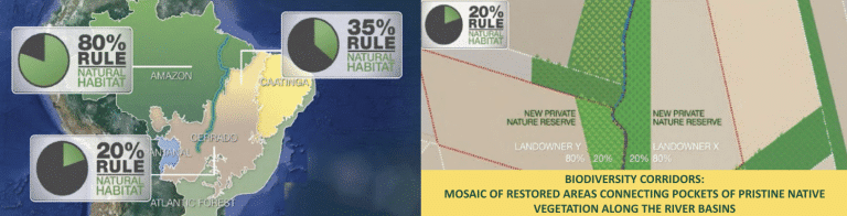 11 years of The New Brazilian Forest Code - Black Jaguar Foundation